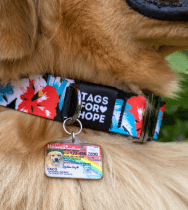 Live With Purpose Bundle - TagsforHope® Official Store | Best Selling ...