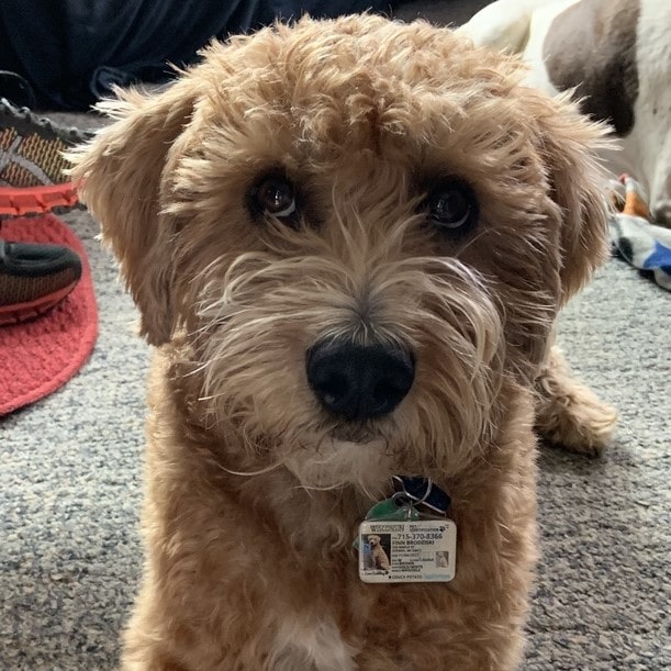 Live With Purpose Bundle - TagsforHope® Official Store | Best Selling ...