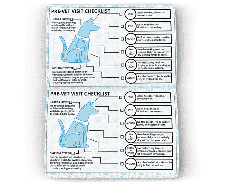 Pet Passport - TagsforHope® Official Store | Best Selling Pet ID Tags ...