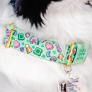 TagsforHope® Official Store | Best Selling Pet ID Tags & Pet Products
