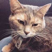 TagsForHope | Personalized Pet ID Tags for Dogs & Cats